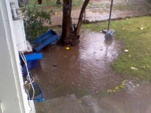 How To Fix a Muddy Backyard?